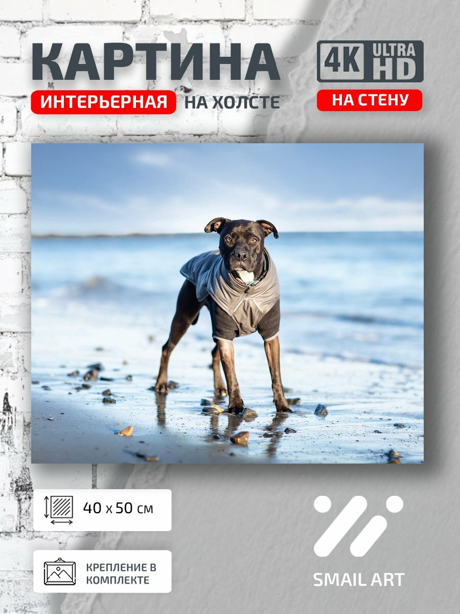 Картина на холсте интерьерная 40 на 50 на стену Море Mood для спальни атмосфера интерьер