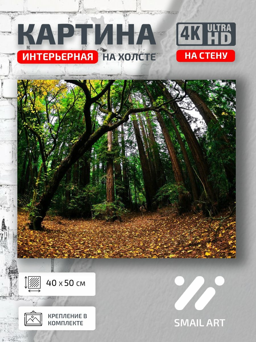 Картина на холсте интерьерная 40 на 50 на стену Осень Landscape для гостиной пейзаж декор