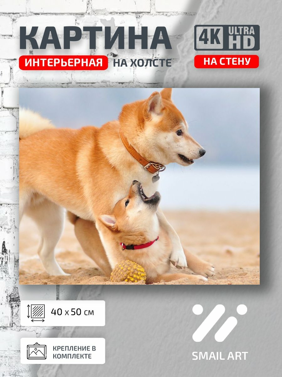 Картина на холсте интерьерная 40 на 50 на стену Игра Mood для спальни атмосфера интерьер