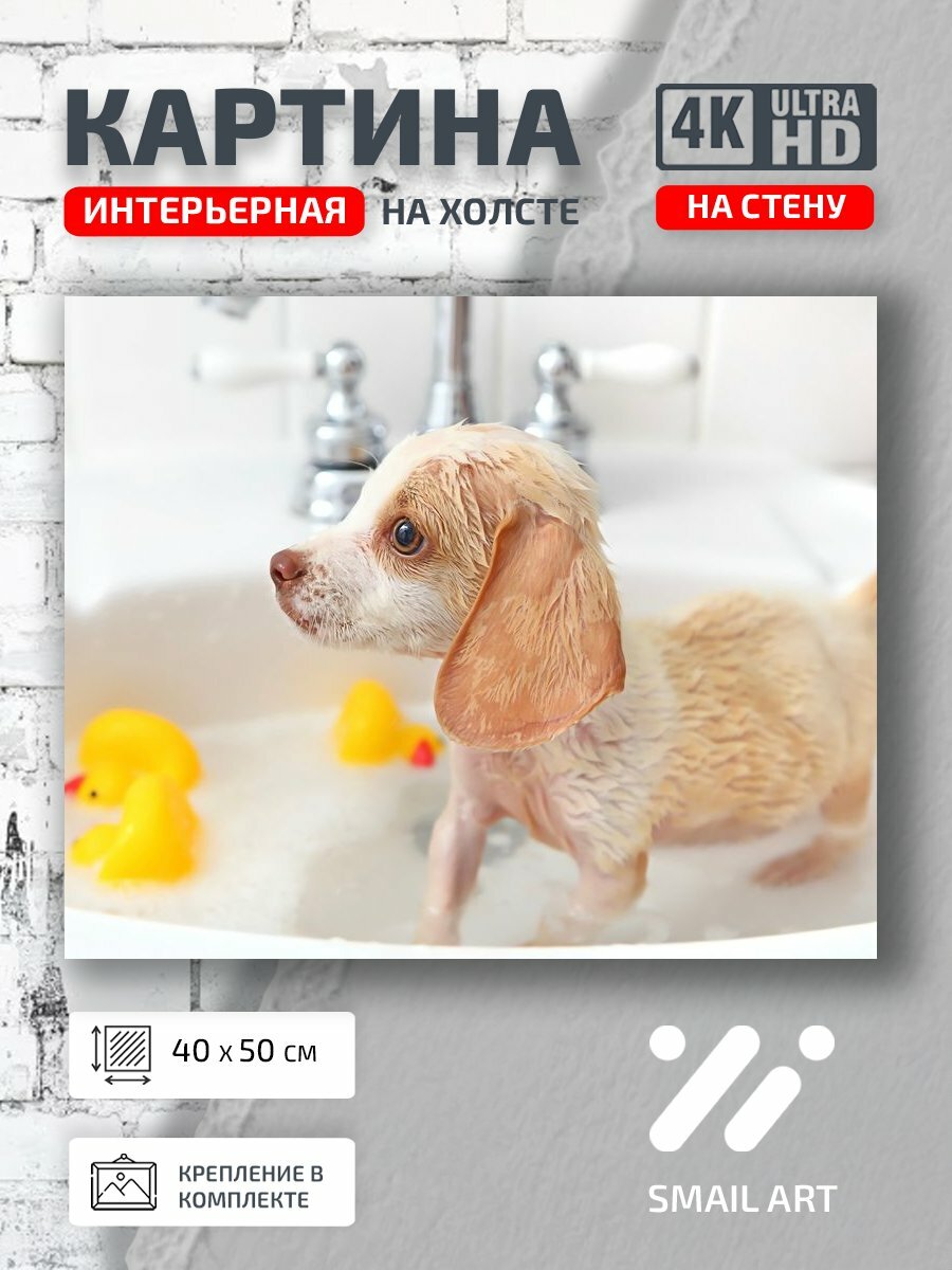 Картина на холсте интерьерная 40 на 50 на стену Собачка Mood для гостиной атмосфера декор