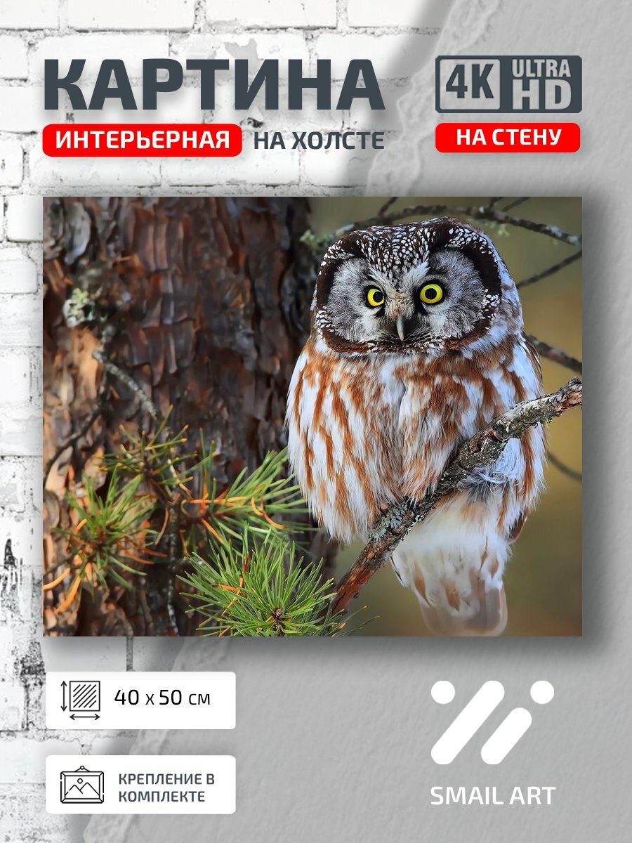 Картина на холсте интерьерная 40 на 50 на стену Дерево Landscape для гостиной пейзаж декор
