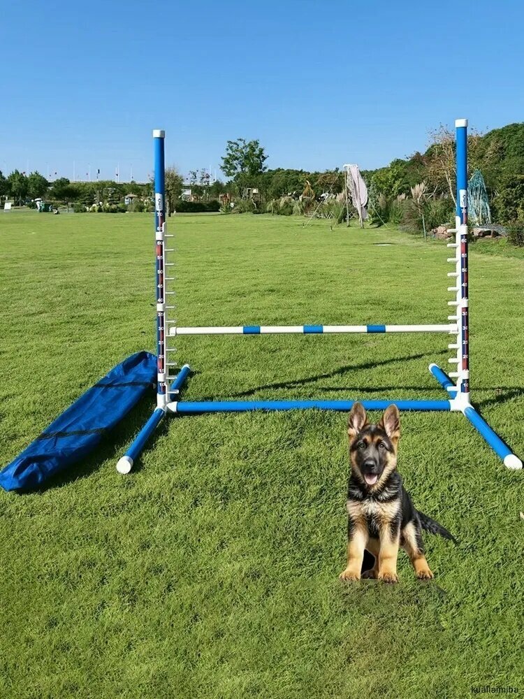 Набор для аджилити для собак, Барьер для аджилити