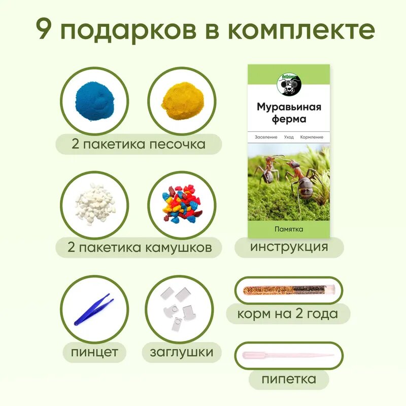 Муравьиная ферма — фото 1