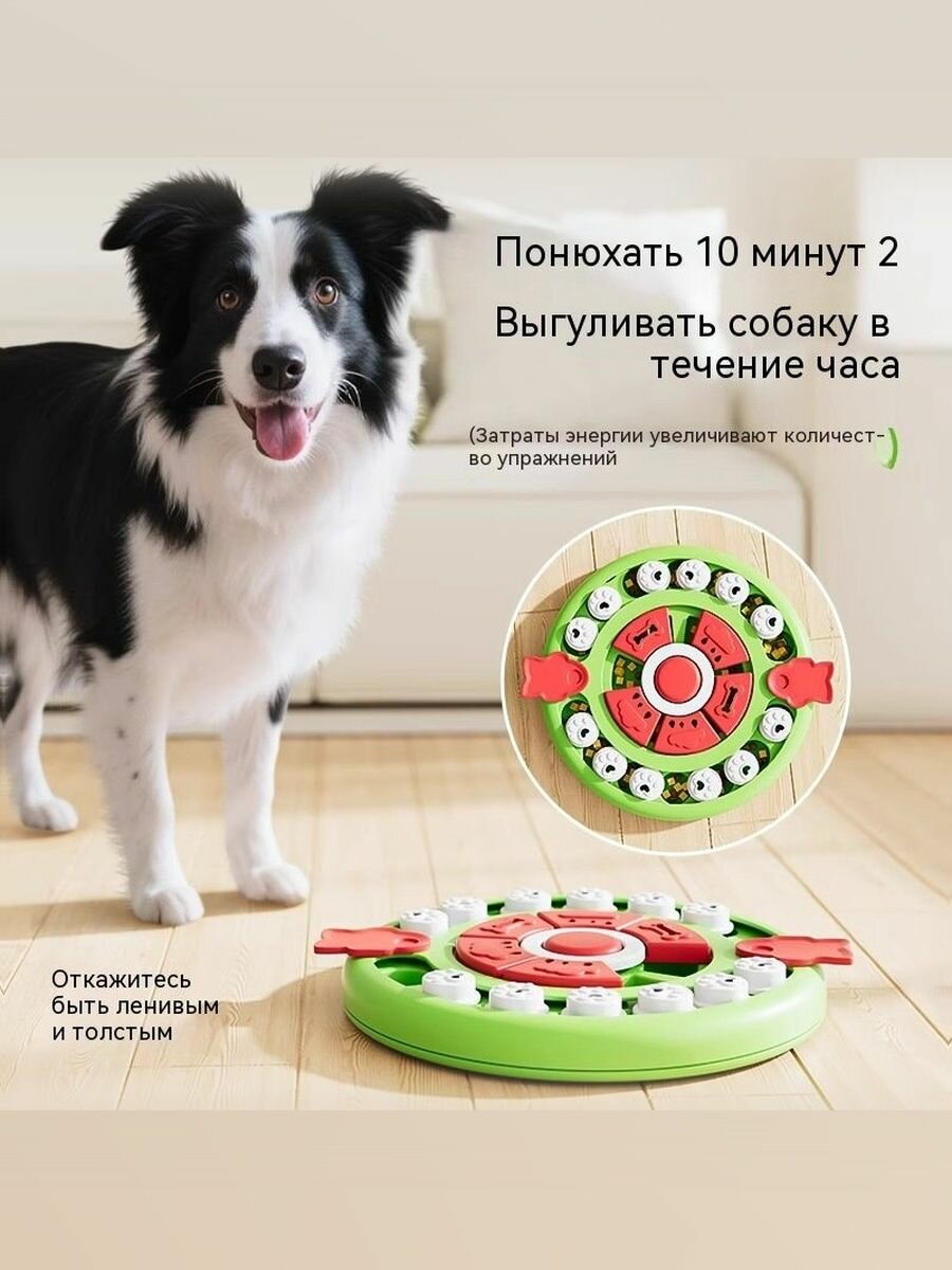 Развивающие игрушки для собак, Кормушка для домашних животных, игрушки для кошек
