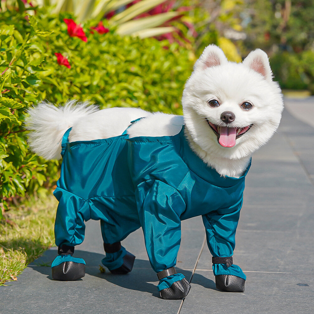 Специальный защитный жилет для животных (с конструкцией для ног), брюки для защиты от пыли, дождевик для собак(Размер M)