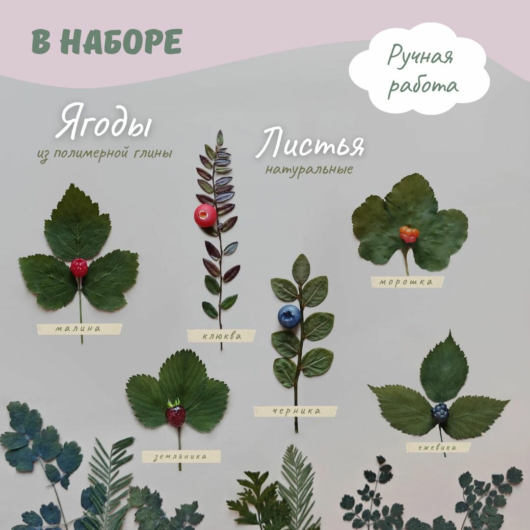 Набор "Ягоды", для творчества, подарок