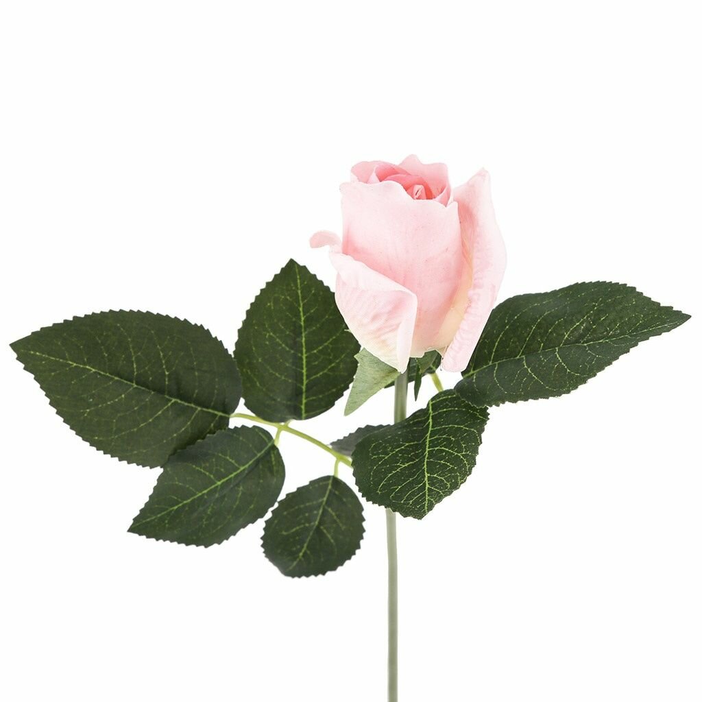 Декоративная ветка КНР "Роза", бледно-розовая, 73 см, 5 цветков, 2 бутона