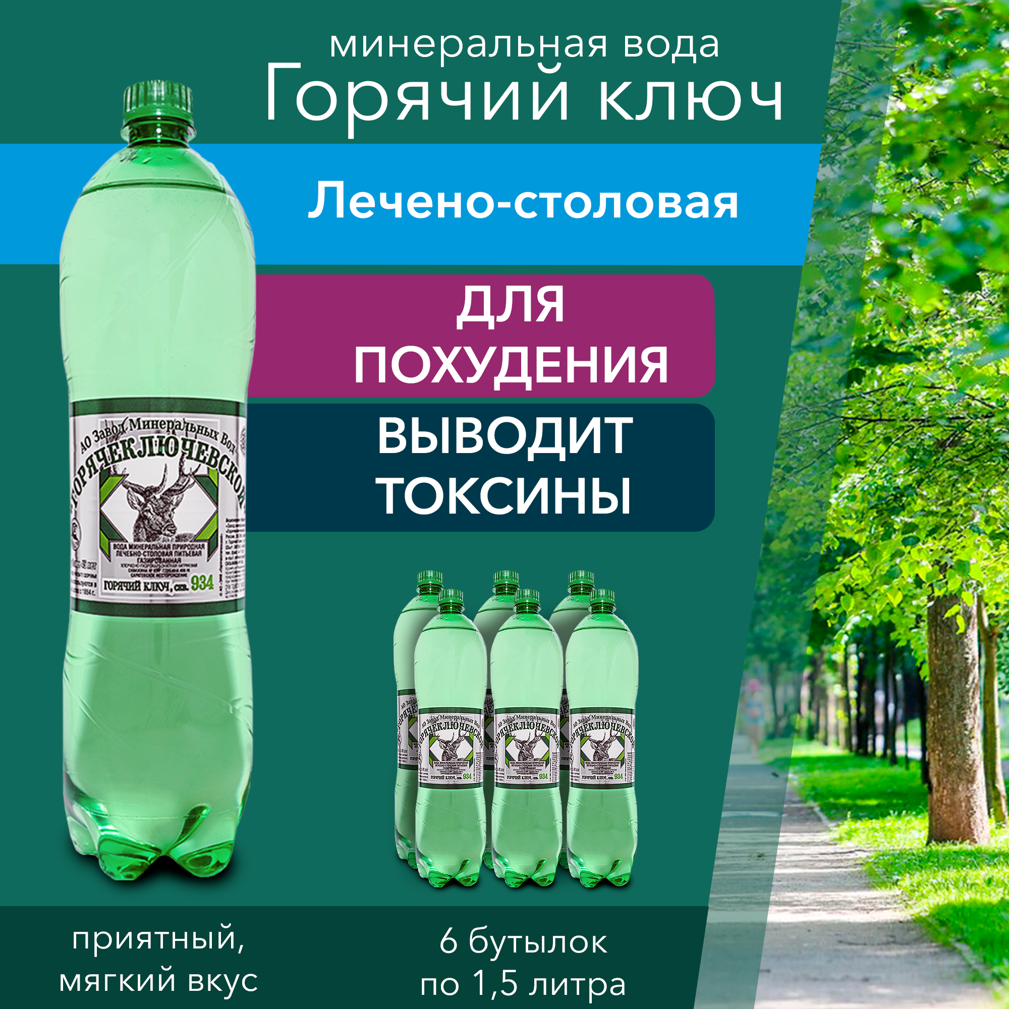 Вода Горячий Ключ Лечебно-столовая. Объем 1.5л*6. Вода минеральная питьевая газированная лечебная, выводит токсины,