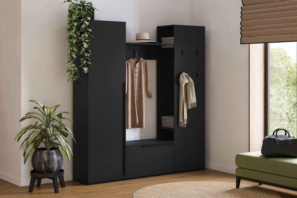 Прихожая Лорена Пакс-4 Черный для одежды 185*220*40
