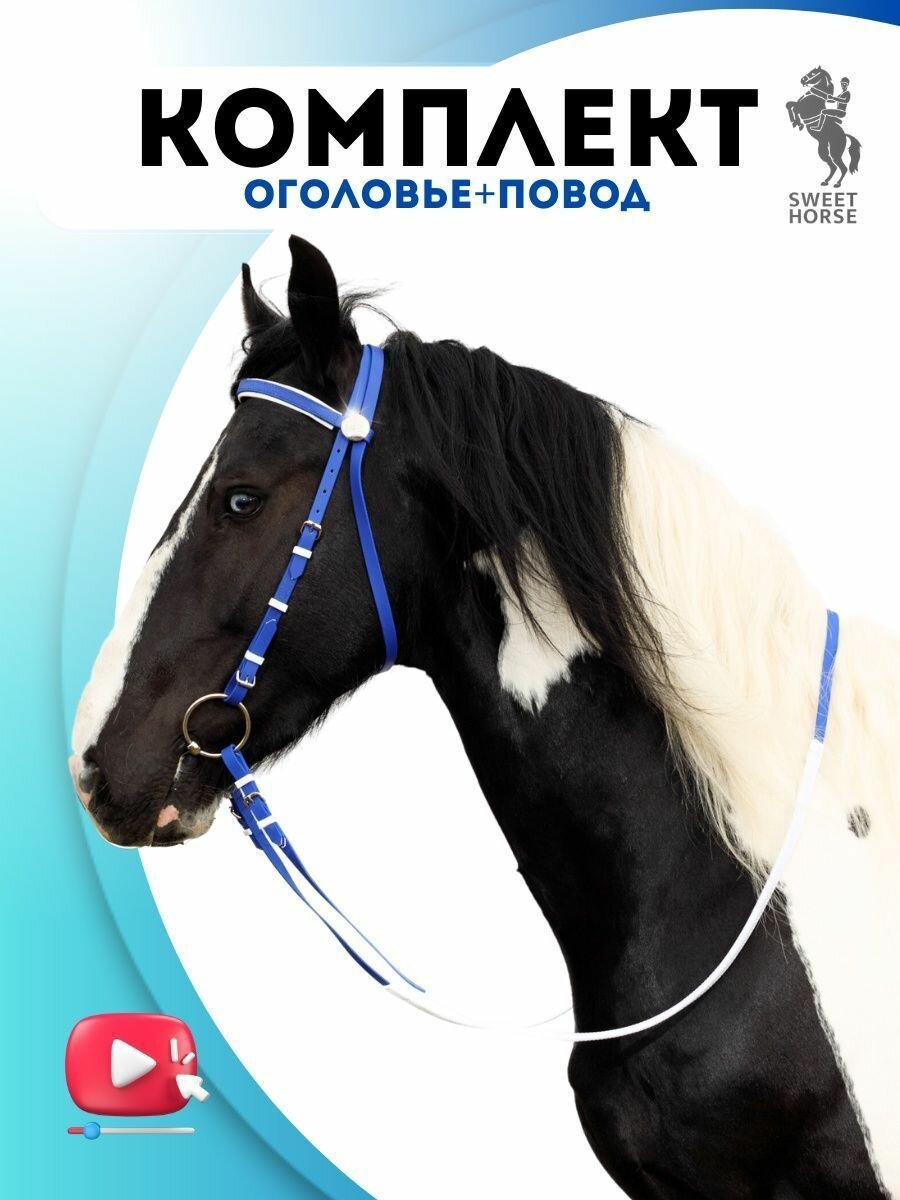 Sweethorse / Комплект оголовье + повод для лошади/Cob, синий