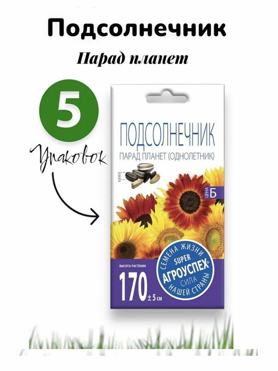 Семена агроуспех