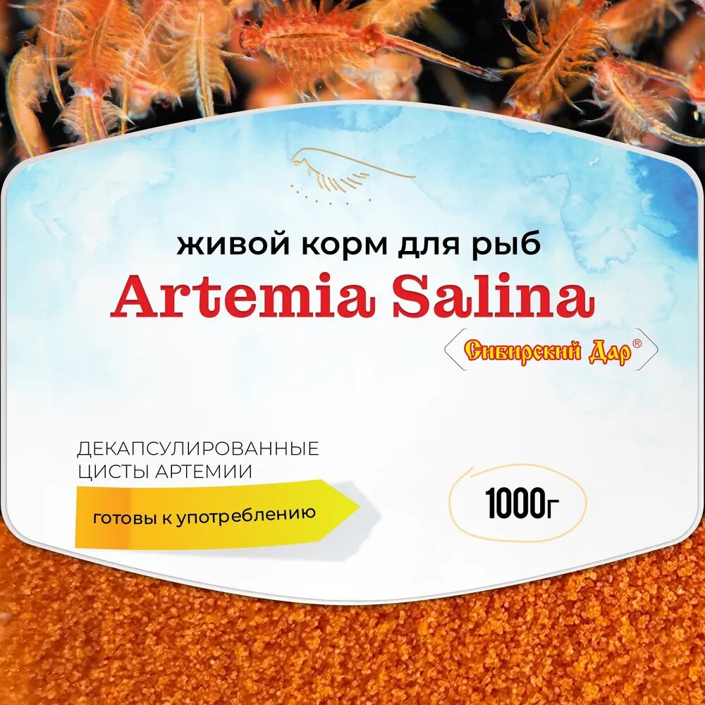 Декапсулированные яйца артемии (цисты) - корм для рыб "Сибирский дар" Artemia Salina, 1000 г