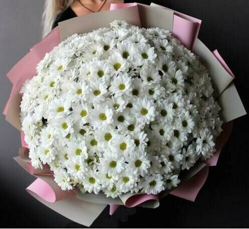 Букет Well Flowers "Хризантемы", круглый, 25 цветов, букет свежих цветов