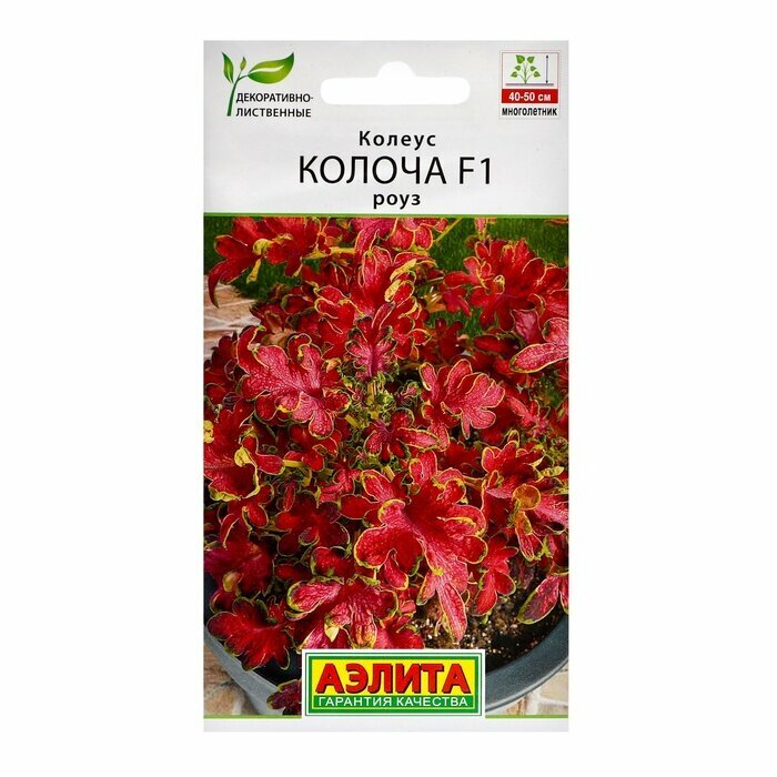 Семена цветов Колеус "Колоча" F1 роуз, ц/п, 5 шт 10838873