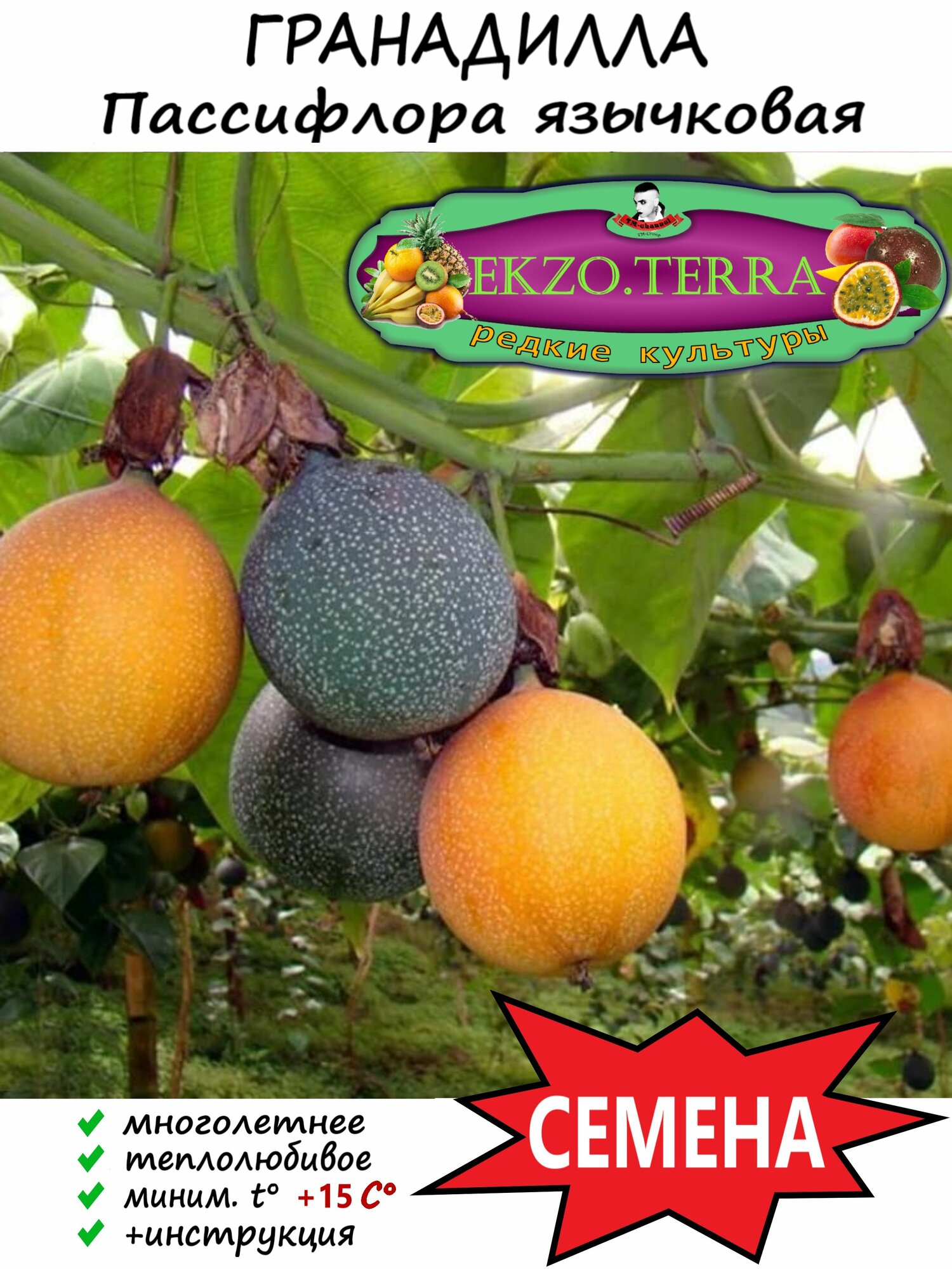Семена Гранадиллы, Пассифлора Язычковая 10 шт.