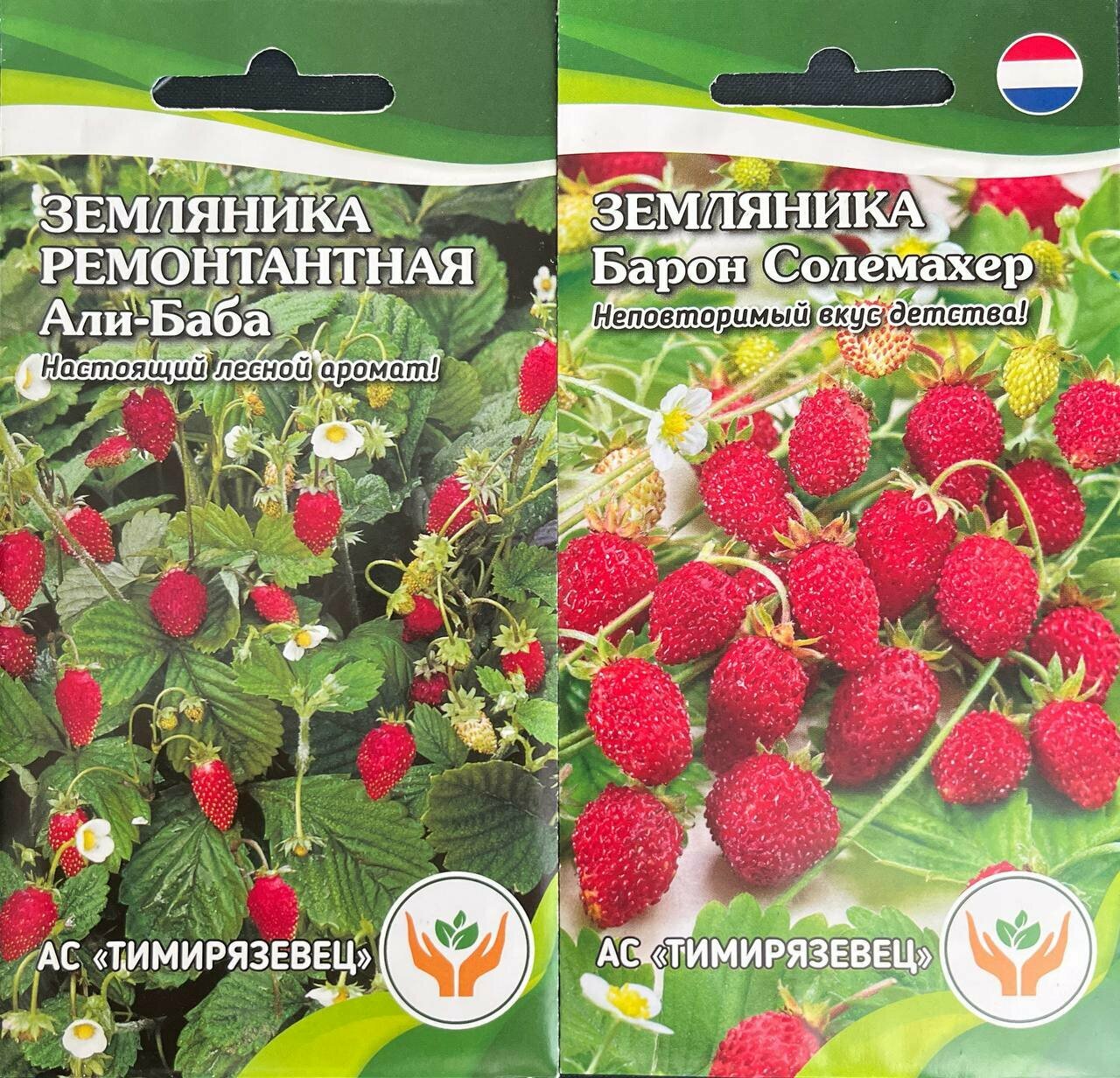 Семена Земляники ремонтантной Али-Баба, Барон Солемахер, АС "Тимирязевец"