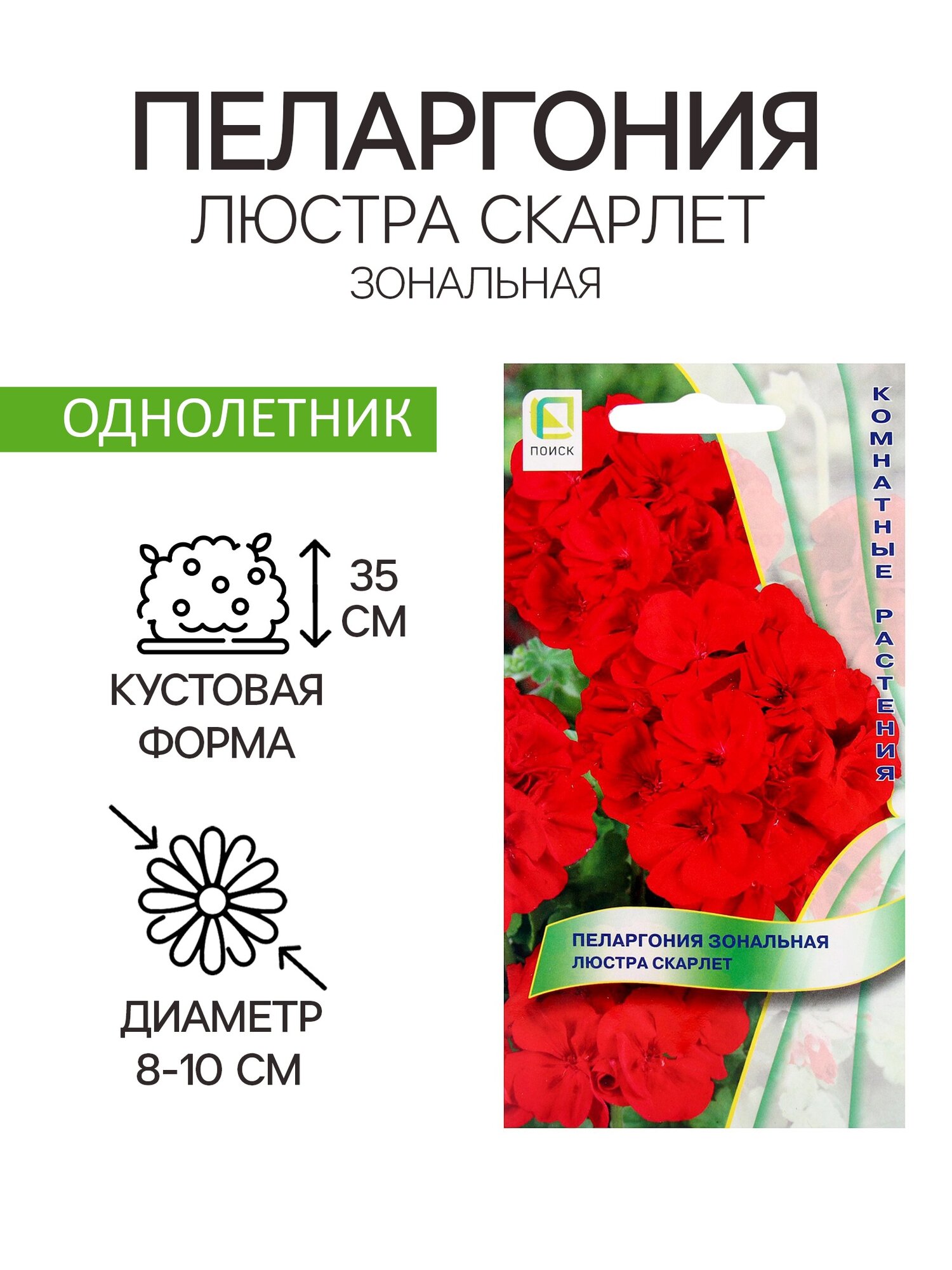 Семена цветов Пеларгония зональная «Люстра Скарлет», 5 шт, «Поиск»