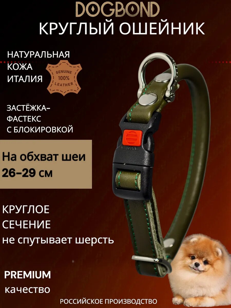 Dogbond Ошейник для шпица круглый кожаный 26-29 см