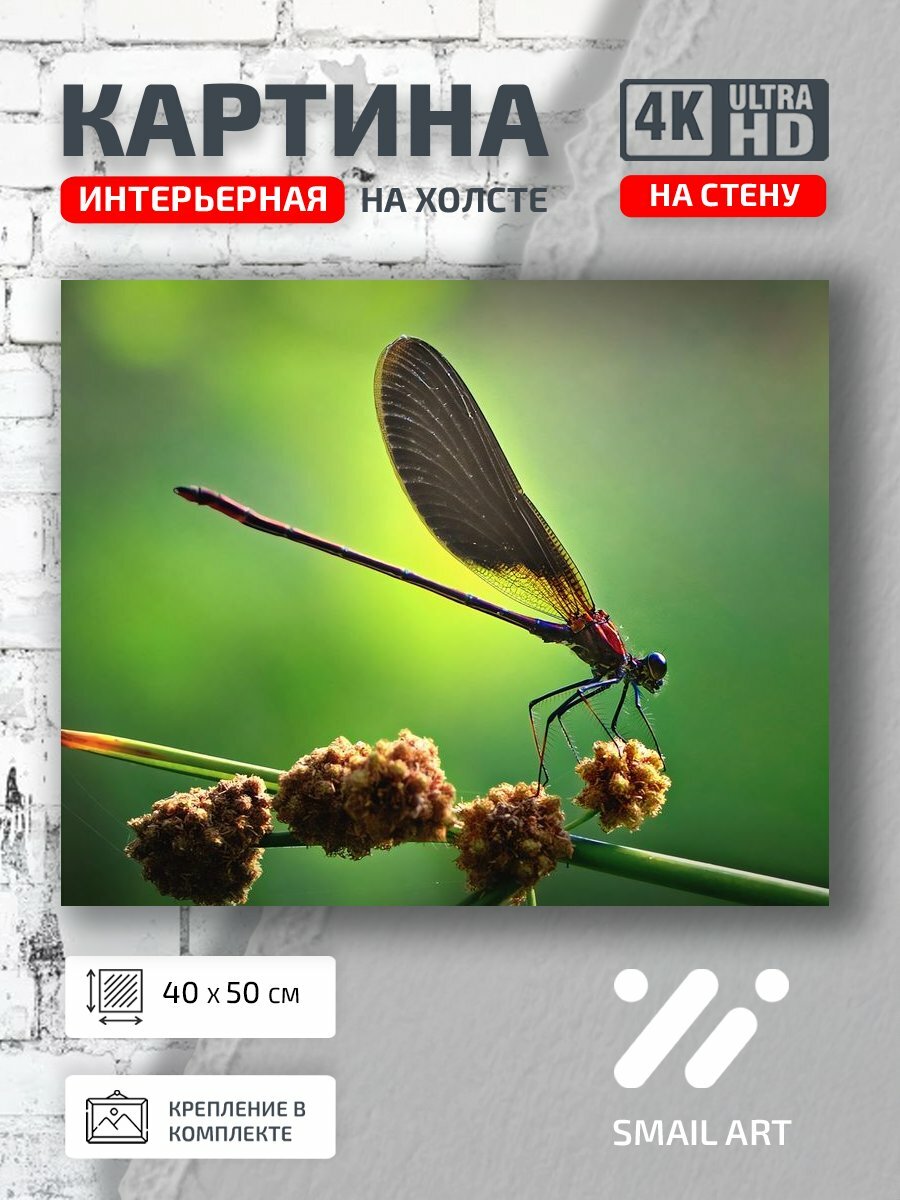 Картина на холсте интерьерная 40 на 50 на стену Травинке Mood для кабинета атмосфера декор
