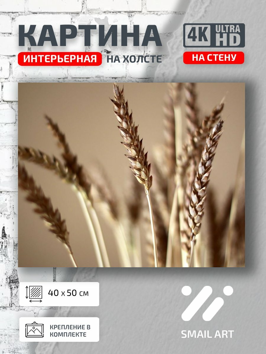 Картина на холсте интерьерная 40 на 50 на стену Колосья Landscape для гостиной пейзаж декор