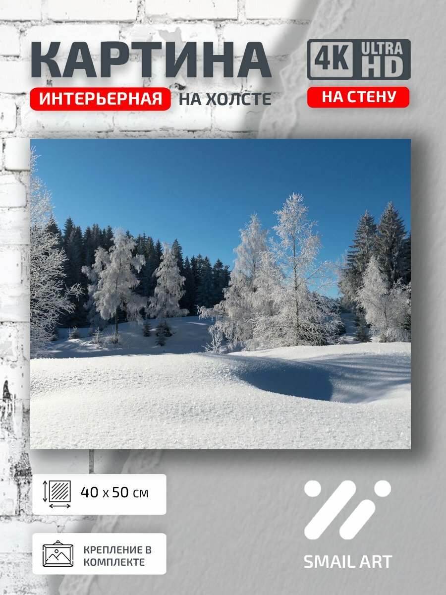 Картина на холсте интерьерная 40 на 50 на стену Зима Landscape для кафе пейзаж интерьер