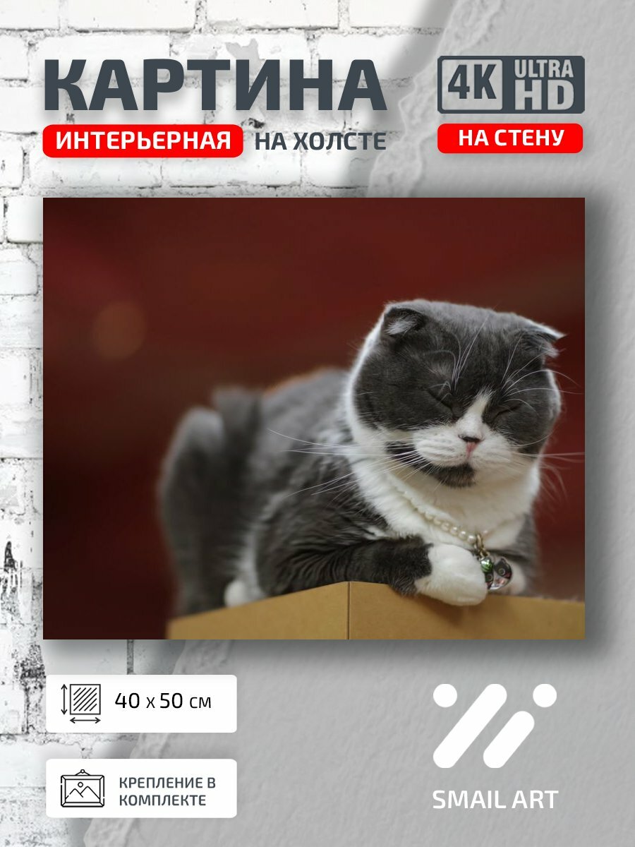 Картина на холсте интерьерная 40 на 50 на стену Черно-белый Animal для кабинета интерьер