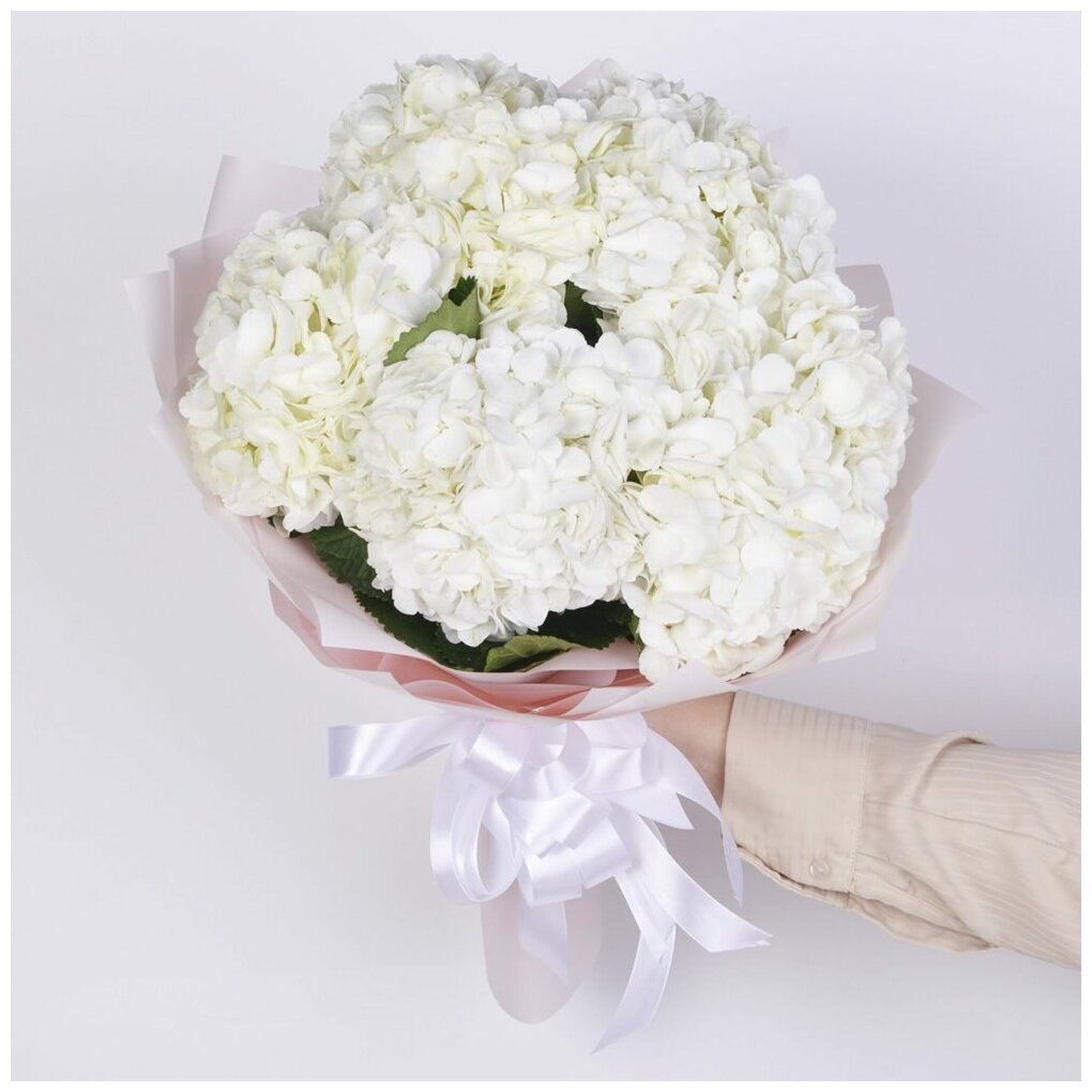 Букет Magic Flower, монобукет, гортензии 5 шт, голубой, в пленке