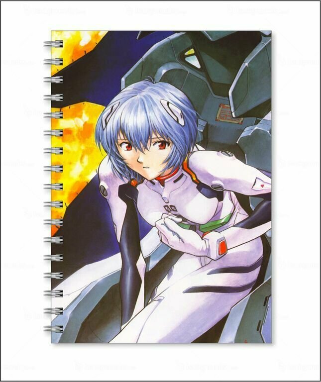 Тетрадь Евангелион, Neon Genesis Evangelion №8