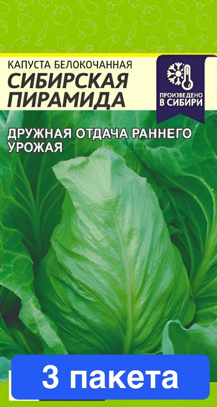 Семена овощей Семена Алтая "Капуста Сибирская Пирамида", 0,5 гр, 3 пакета