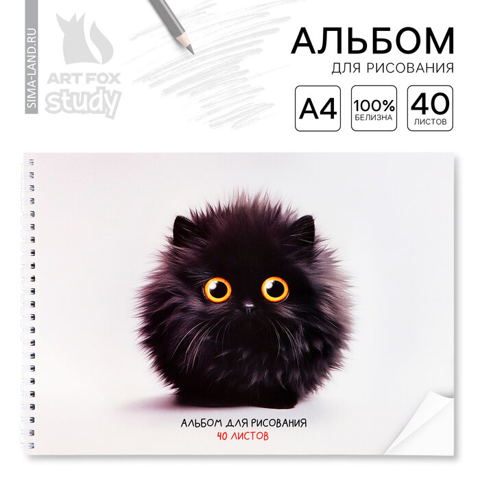 Альбом для рисования 40 листов на пружине А4 «1 сентября: Черный пушистик», 10183394