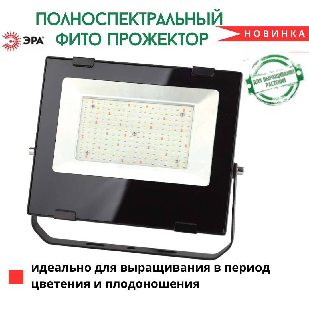 Прожектор светодиодный для растений ЭРА фито LED 100Вт полного спектра