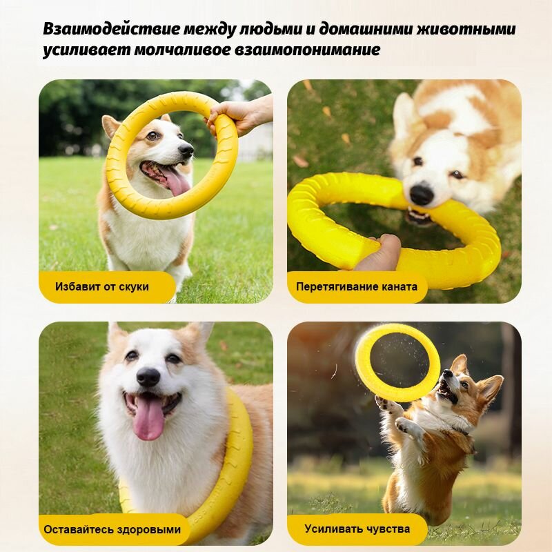 Игрушка-летающее кольцо для собаки — фото 1