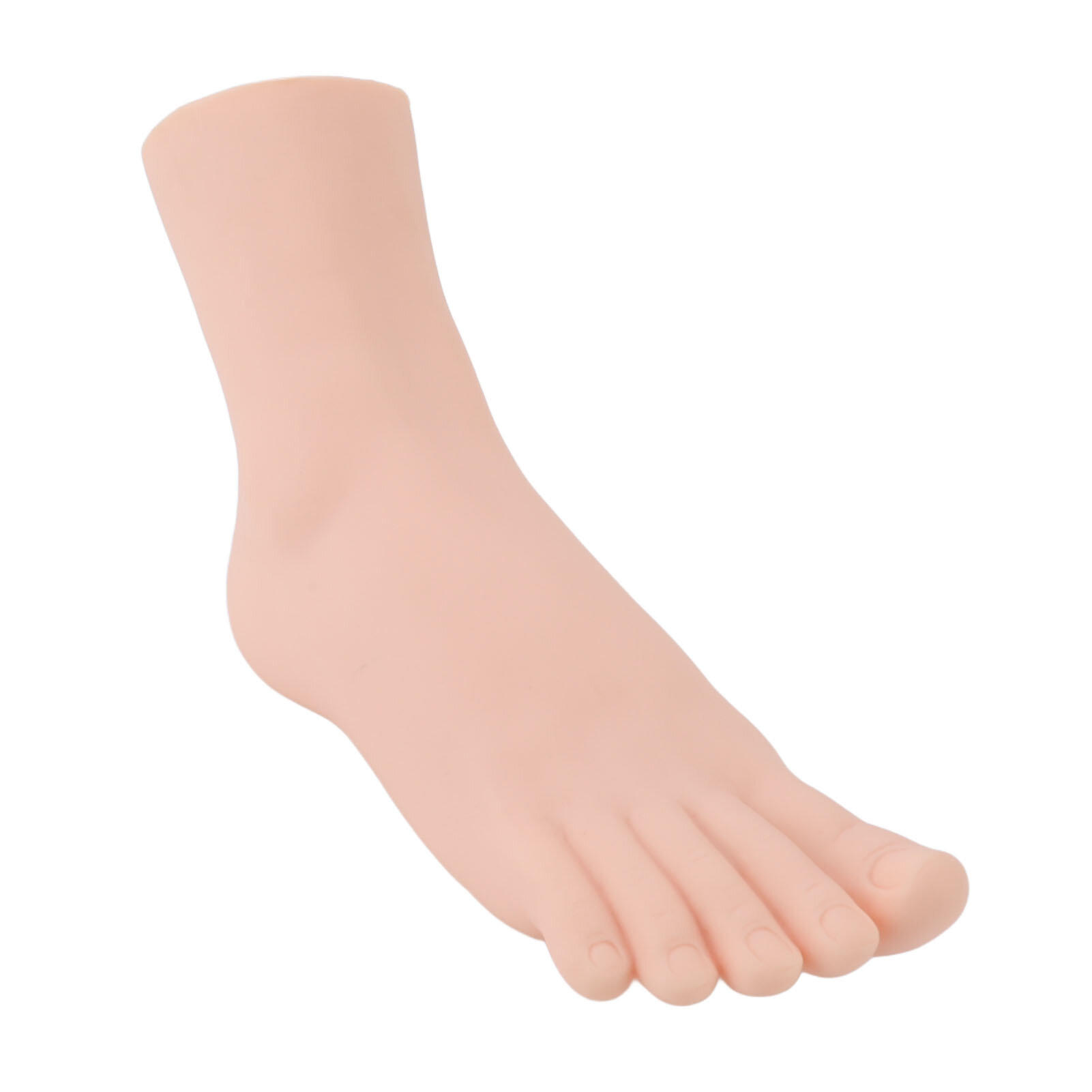 Женская правая нога манекен моделируем