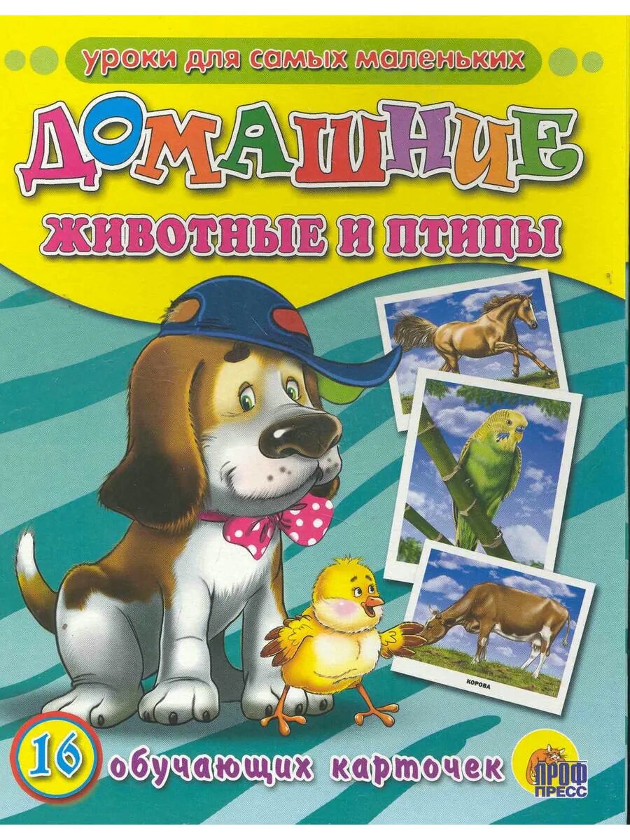 Домашние животные и птицы /16 обучающих карточек