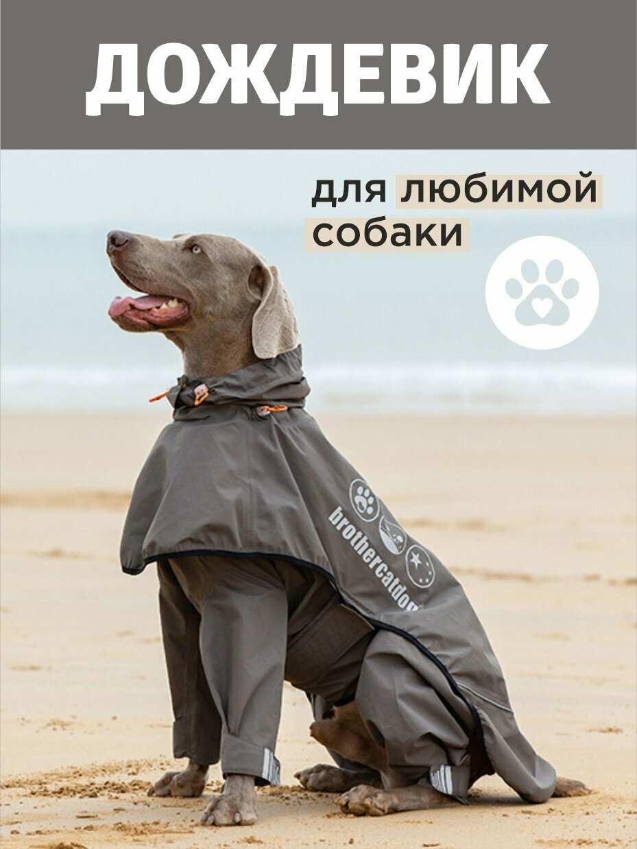 Дождевики для собак Brothers Cat&Dog, M, непромокаемые, липучки, полукомбинезон