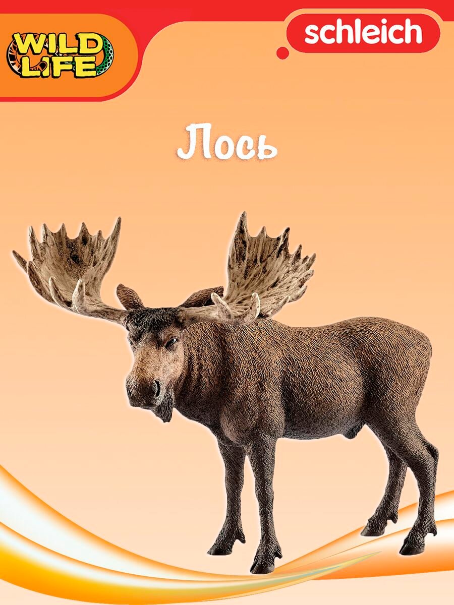 Schleich Wild Life Фигурка "Лось", для детей от 3 лет, 14781
