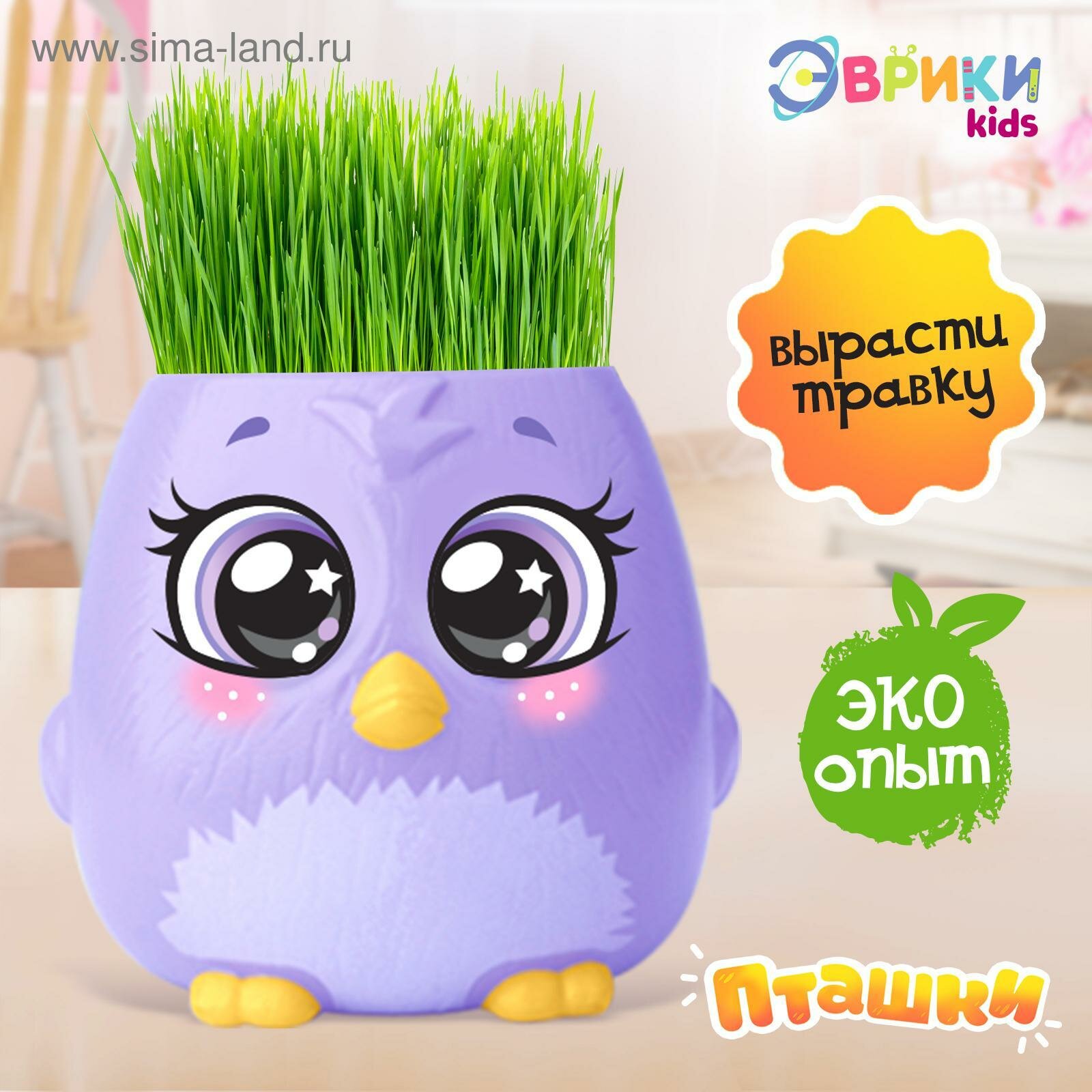 Набор для опытов, для детей «Пташки, выращиваем травку», растение в фиолетовом горшочке