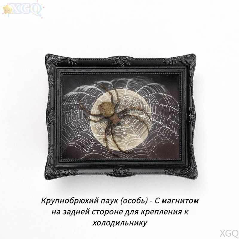 Чучело декоративное Настоящая бабочка в рамке с магнитом и кронштейны для украшения интерьера комнаты, дома, мебели, холодильникаXGQ