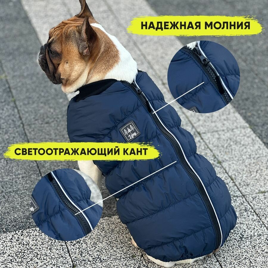 Одежда для животных — фото 1