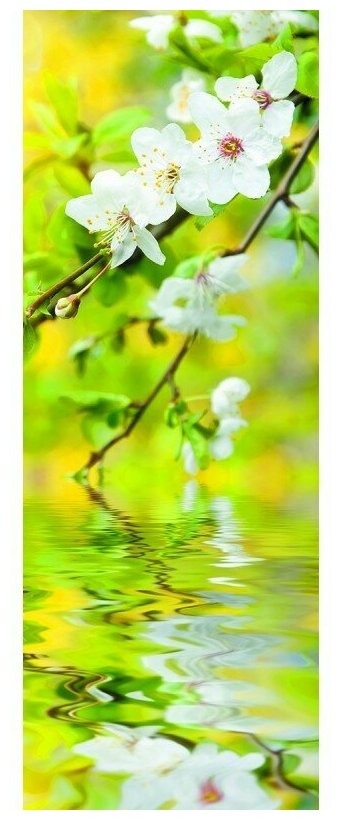 Фотообои Milan Яблоневый цвет, M 108, 100х270 см, виниловые на флизелиновой основе