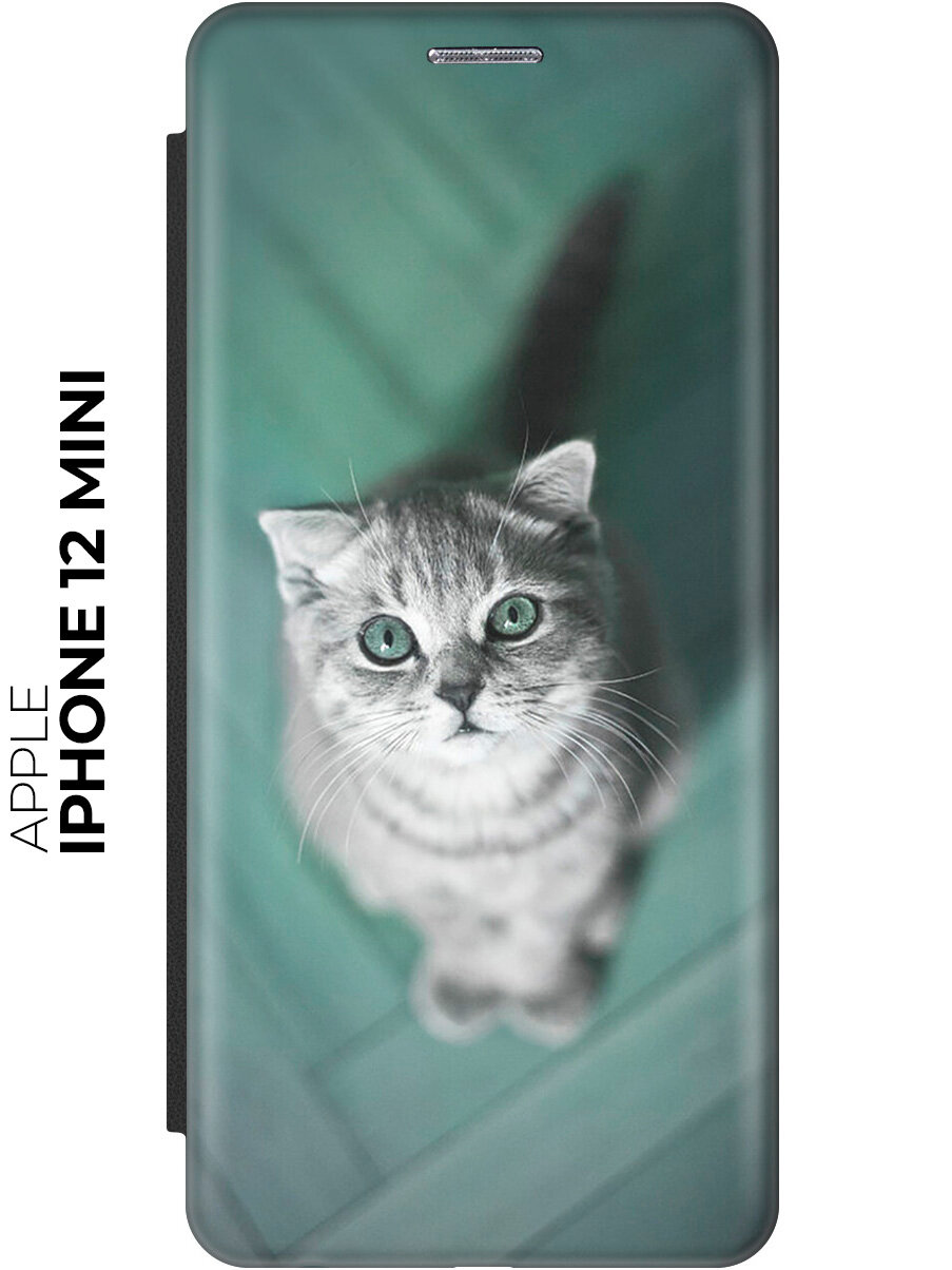 Чехол-книжка на Apple iPhone 12 Mini / Эпл Айфон 12 мини с рисунком "Котик на зеленом полу" черный