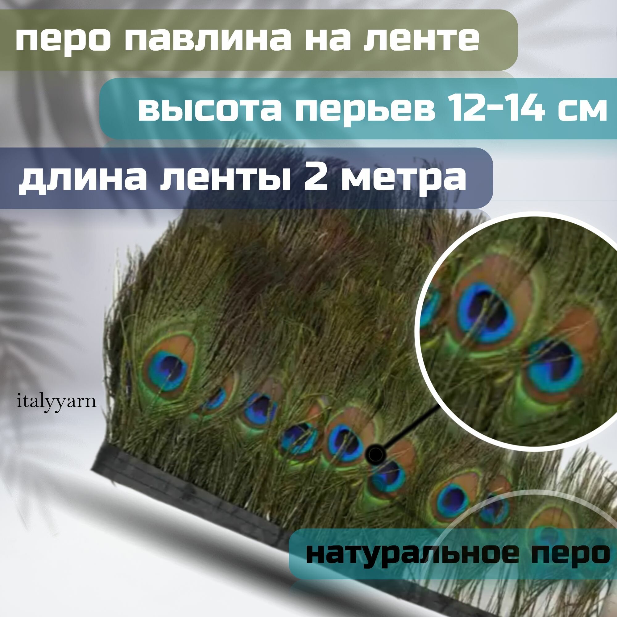 Перья павлина на ленте; лента 2 метра с натуральными перьями павлина 12-14 см, верхняя часть пера глаз ; italyyarn