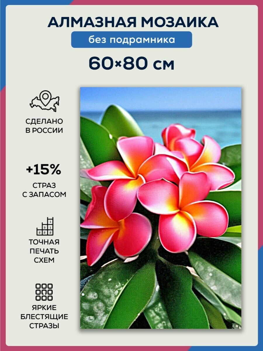 Алмазная мозаика 60x80 Розовая плюмерия без подрамника