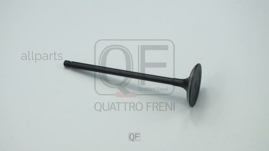 QUATTRO FRENI QF02A00003 Клапан двигателя впускной