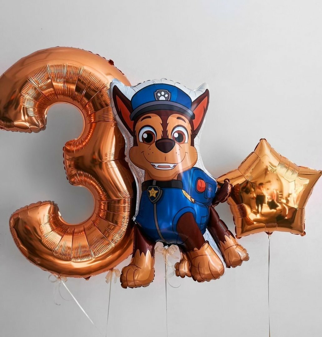 Недорогие шарики с Чейзом "Щенячий патруль"