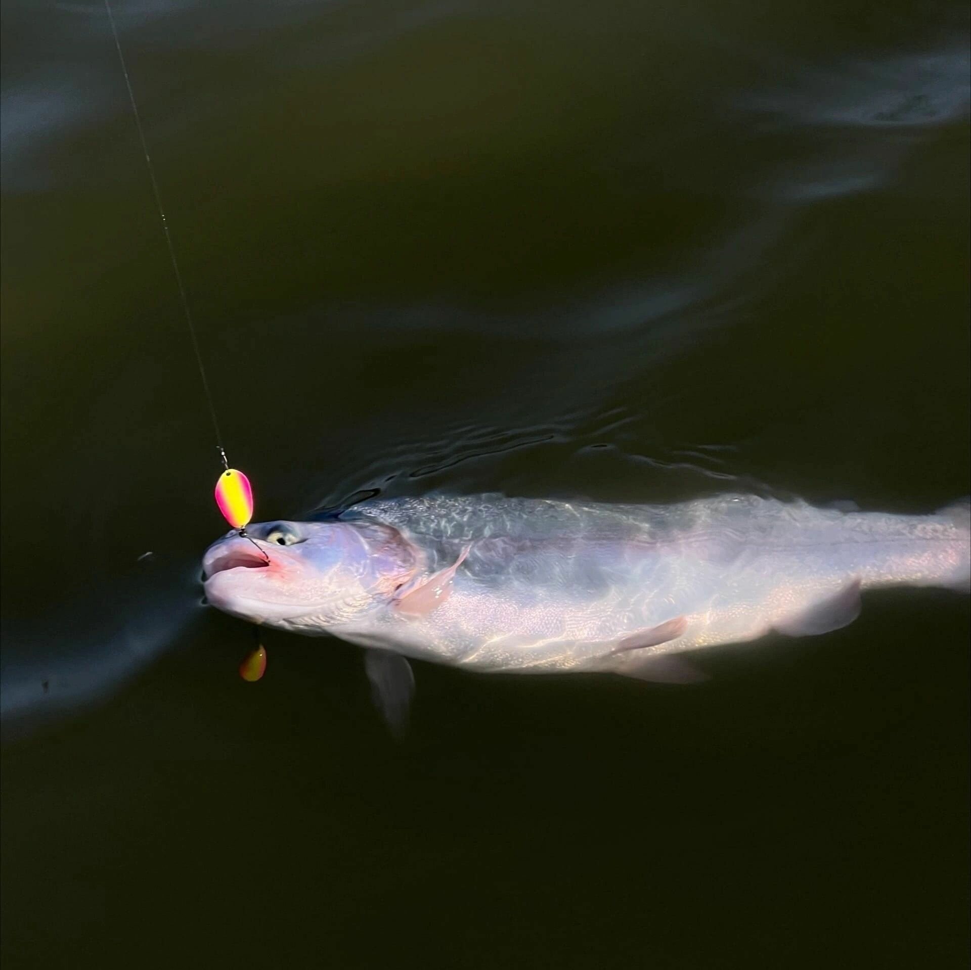 Блесна форелевая Angler'z System Dohna 3 гр, #SP8A — фото 1