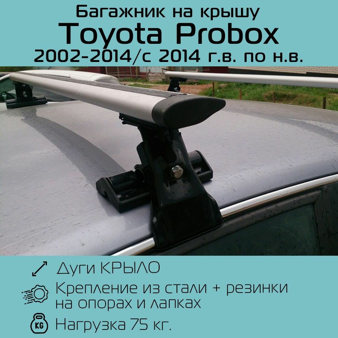 Багажник Inter D-1 на гладкую крышу для Toyota Probox 2002-2014 / 2014- крыловидный 130 см. / Багажник Интер Д-1 на гладкую крышу для Тойота Пробокс крыловидный
