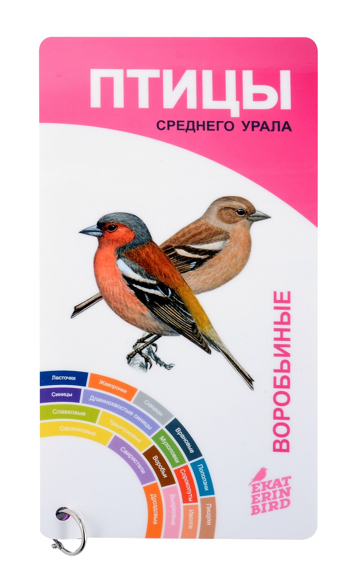 Книга: "Птицы Среднего Урала. Воробьиные и неворобьиные." от Рябицев В, русский язык, Зоология