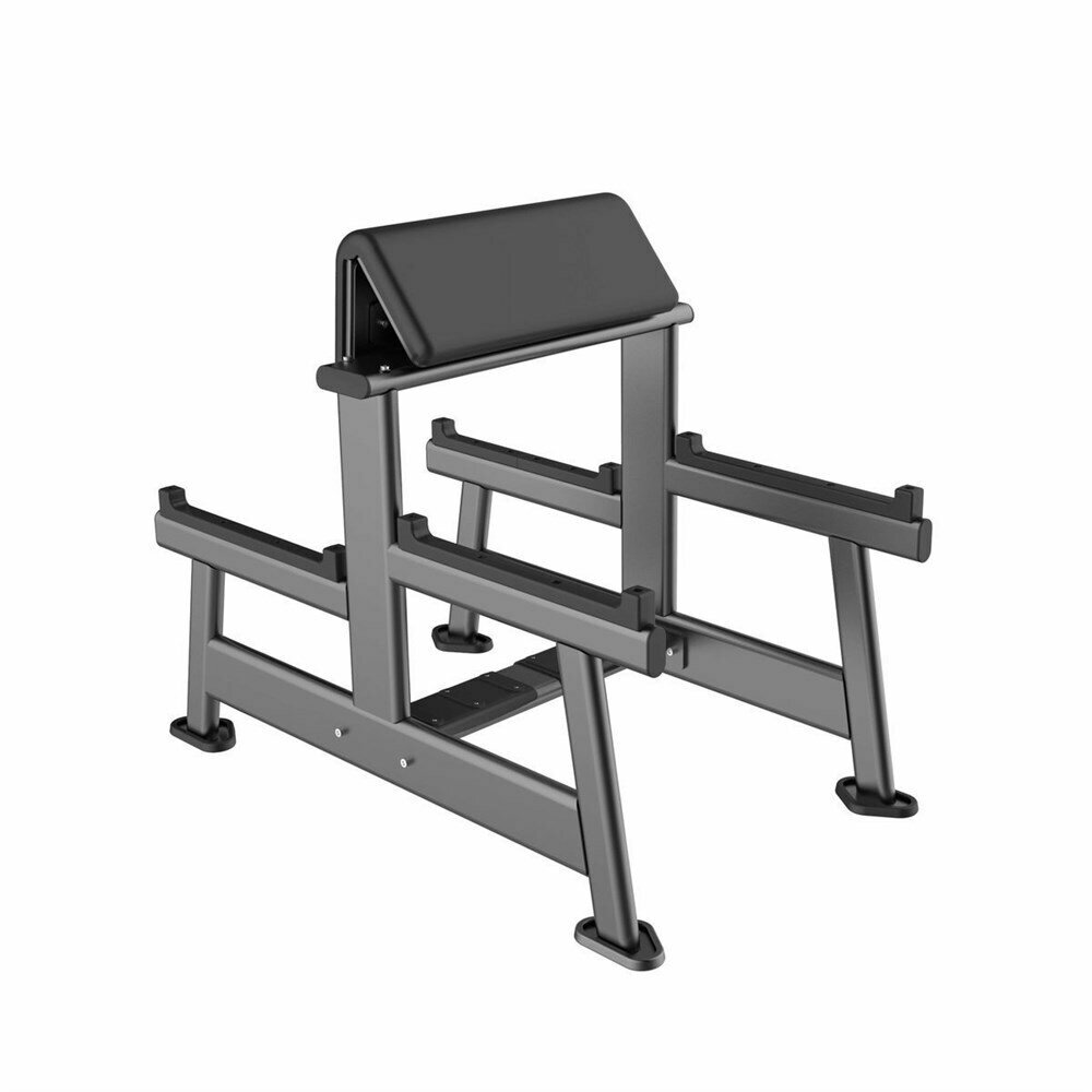 DHZ Fitness E7044 Скамья для бицепса. Скамья Скотта
