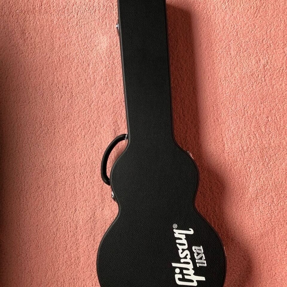 Чехол для музыкального инструмента